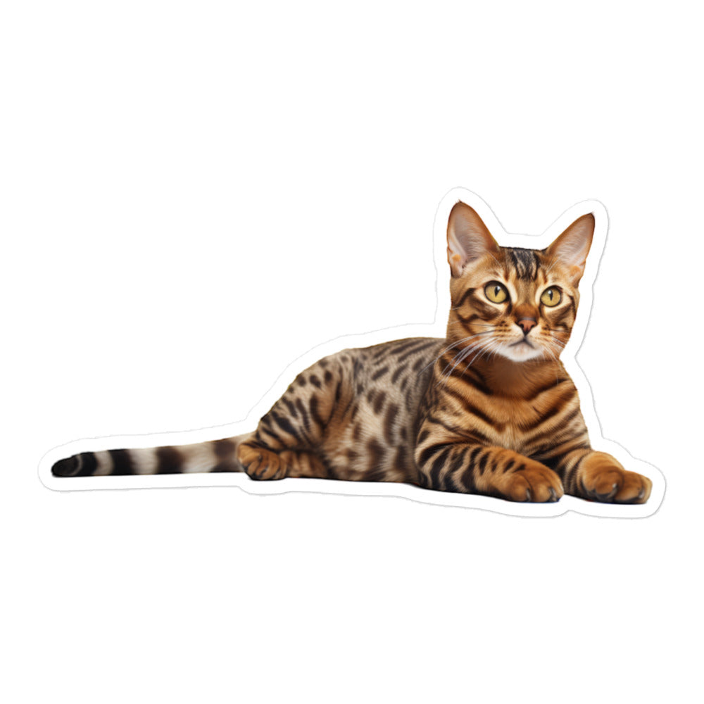 Bengal Sticker 🐱 from Stickerfy.ai
