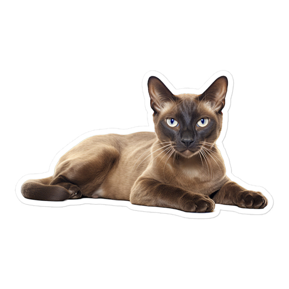 Burmese Sticker 🐱 from Stickerfy.ai