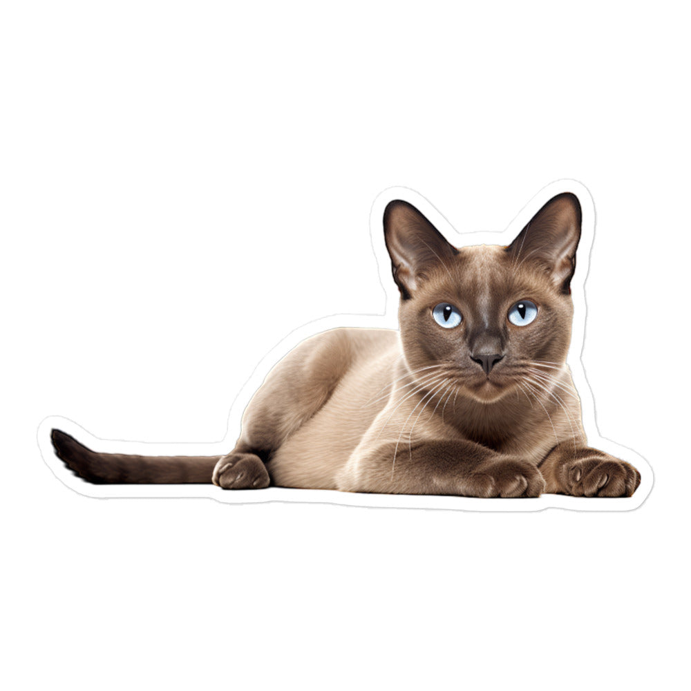 Burmese Sticker 🐱 from Stickerfy.ai