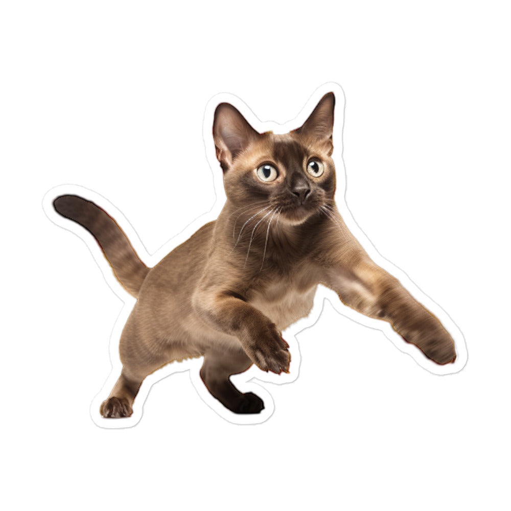 Burmese Sticker 🐱 from Stickerfy.ai