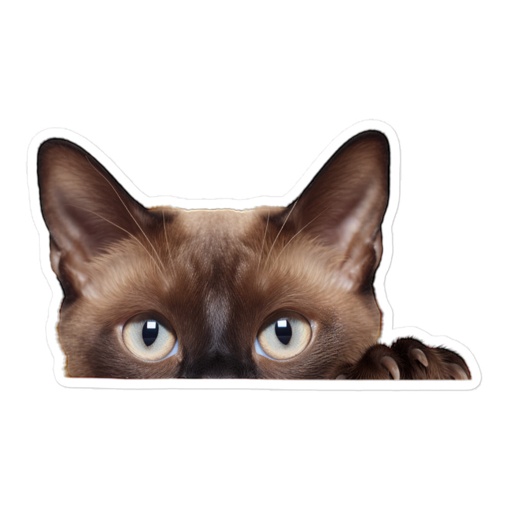 Burmese Sticker 🐱 from Stickerfy.ai