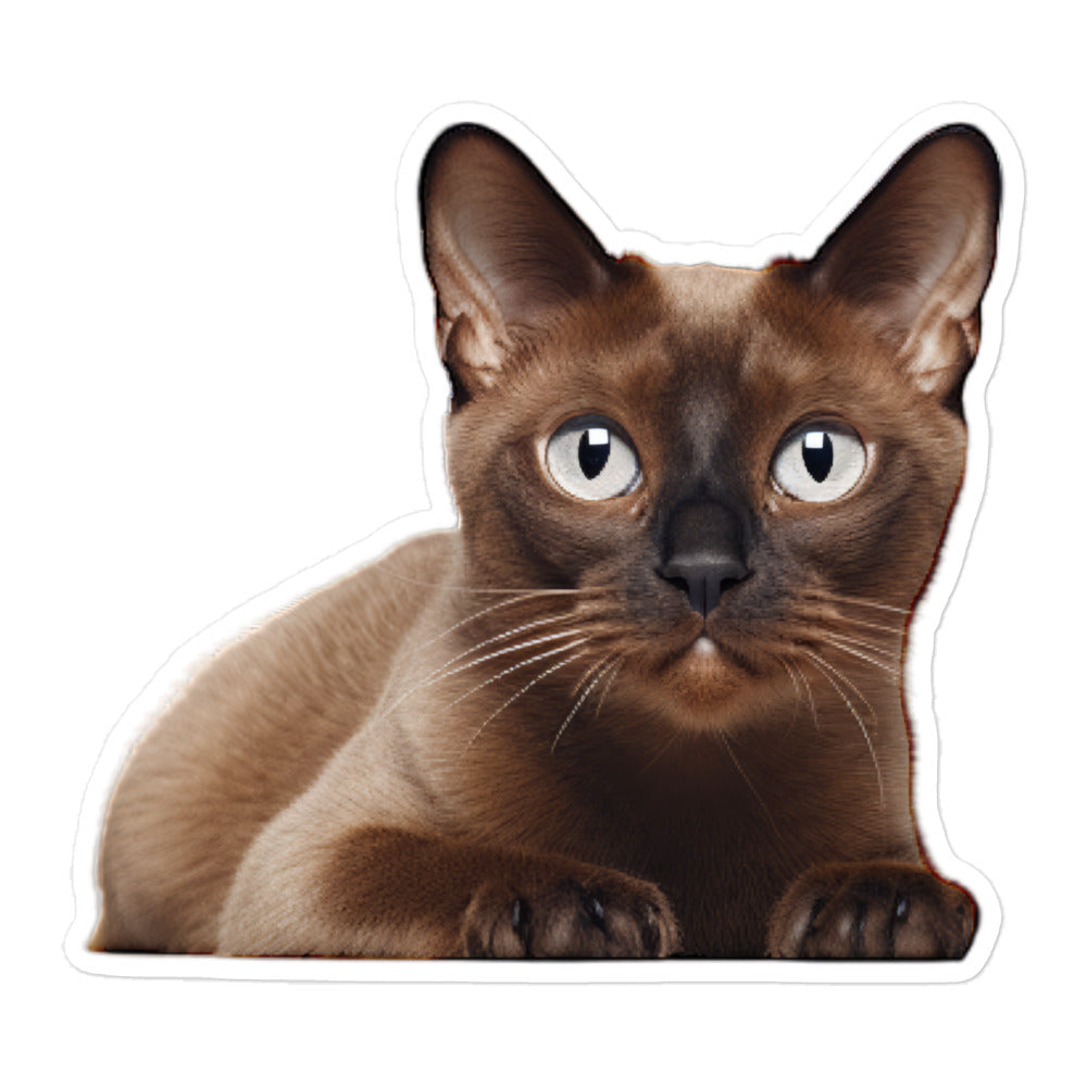 Burmese Sticker 🐱 from Stickerfy.ai