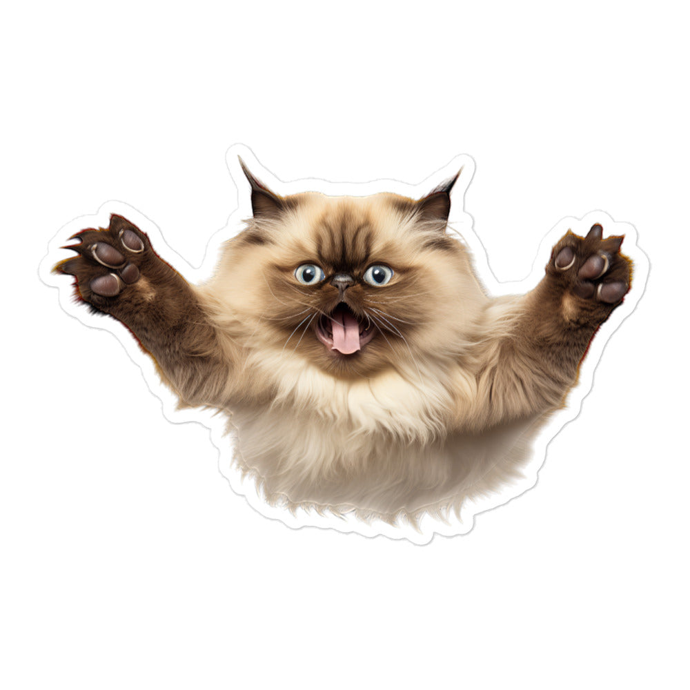 Himalayan Sticker 🐱 from Stickerfy.ai