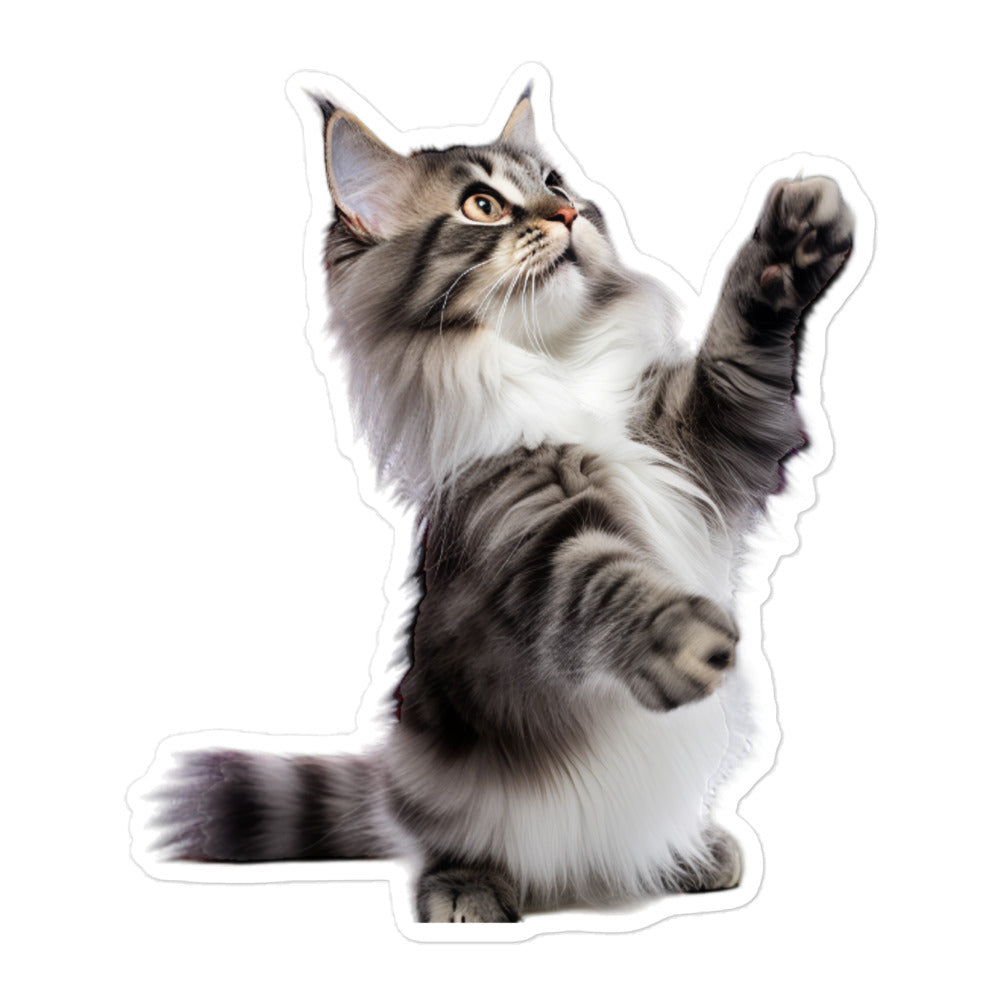 Norwegian Forest Sticker 🐱 from Stickerfy.ai
