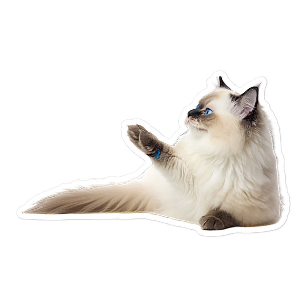 Ragdoll Sticker 🐱 from Stickerfy.ai