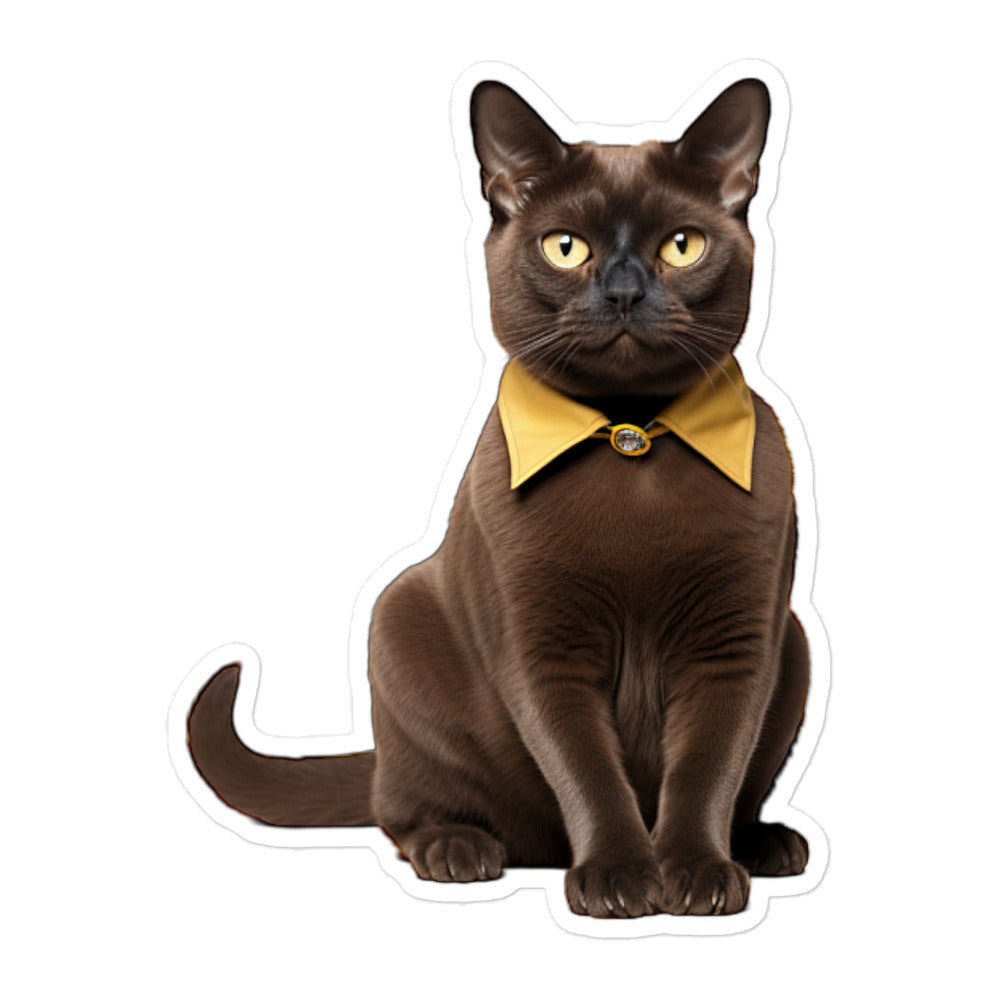 Burmese Security Officer Sticker 🐱 from Stickerfy.ai