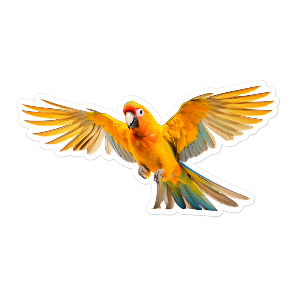 Sun Conure Sticker 🦉 from Stickerfy.ai